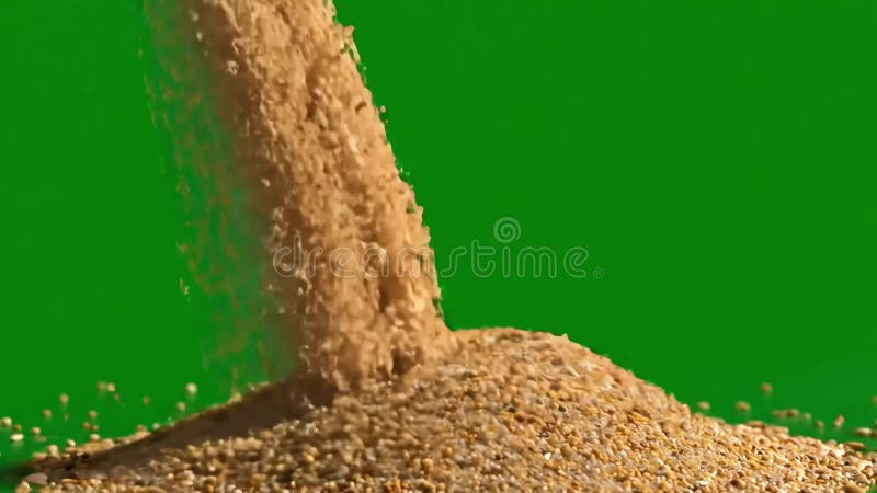 Pouring Sand on a Green Screen Background for Compositing and Special ...