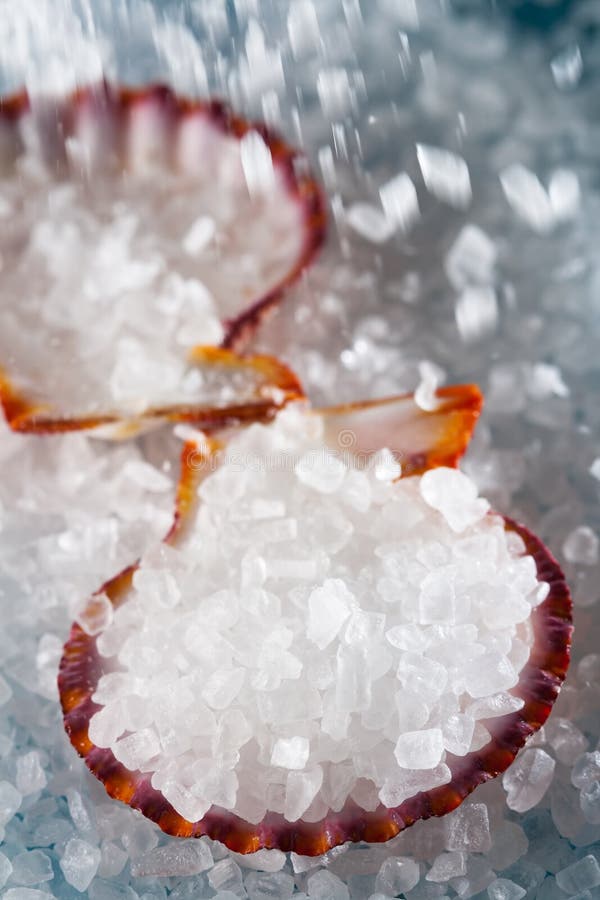 Pouring Sea Salt in a Shell on Salt Background Stock Image - Image of ...