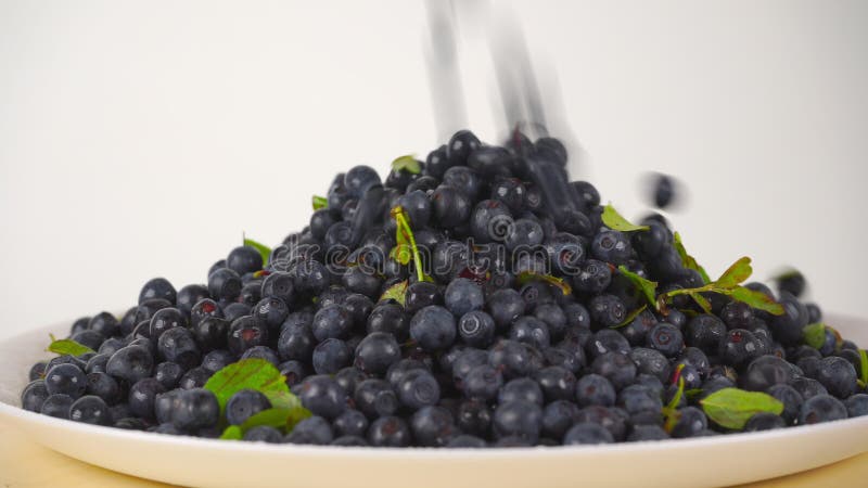Pouring Wet Blueberries on a Plate Stock Photo - Image of freshness ...