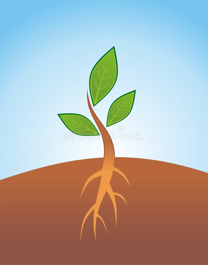 Pousse Stock Illustrations, Vecteurs, & Clipart – (134,646 Stock ...