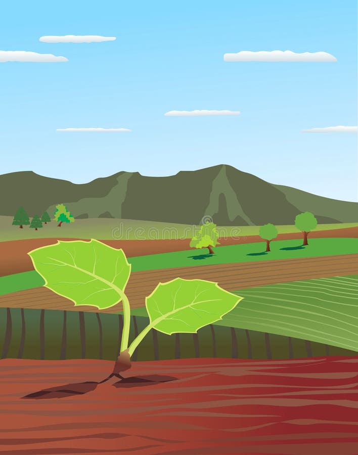 Pousse Stock Illustrations, Vecteurs, & Clipart – (134,646 Stock ...