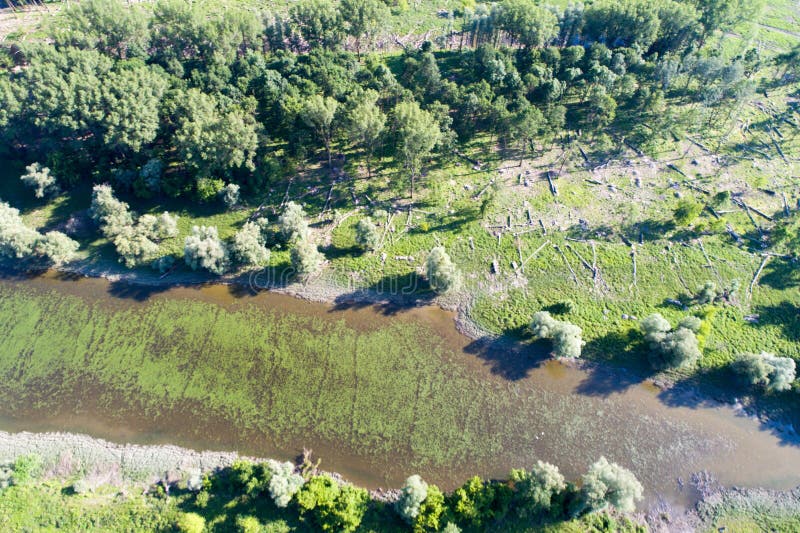 Pousse De Paysage De Bourdon Photo stock - Image du scénique, rive ...