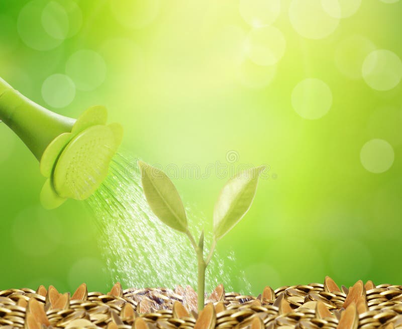 Élevage vert de pousse photo stock. Image du cordon, ressort - 60531166