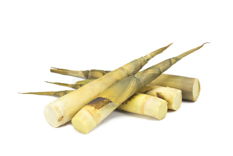 Pousse De Bambou, Pousse En Bambou Photo stock - Image du doux, fond ...