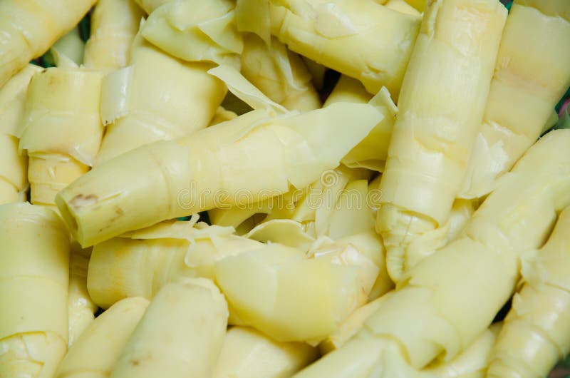 Pousse De Bambou, Pousse En Bambou Photo stock - Image du doux, fond ...