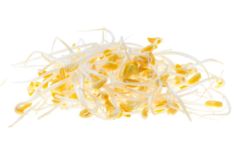 Pousses de soja. image stock. Image du jaune, gourmet - 35380017