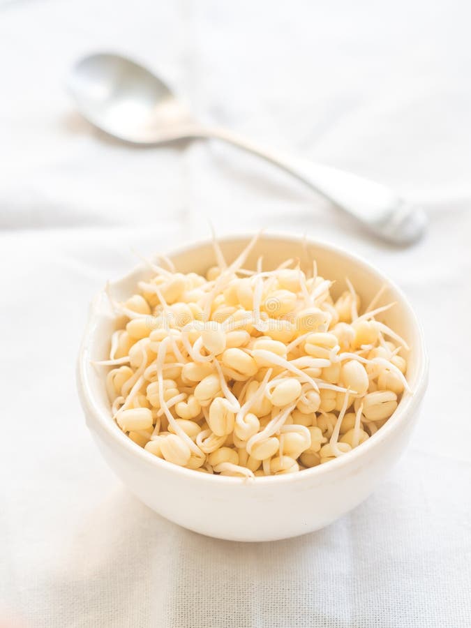 Pousses de soja photo stock. Image du cuisine, jaune - 59465516