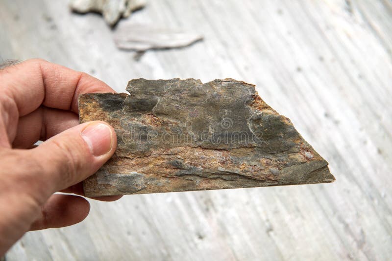 POV Man Hand Holding Natural Slate Stock Image - Image of healthy ...
