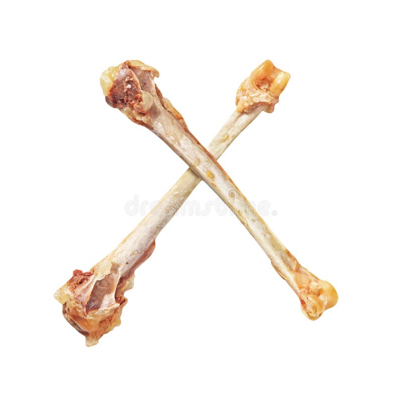 Crossed Picked Chicken Bones Isolated on White Background. Stock Image ...