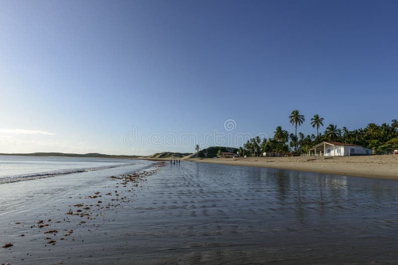 Praia De Pititinga, O Rio Grande Do Norte (Brasil) Imagem de Stock ...