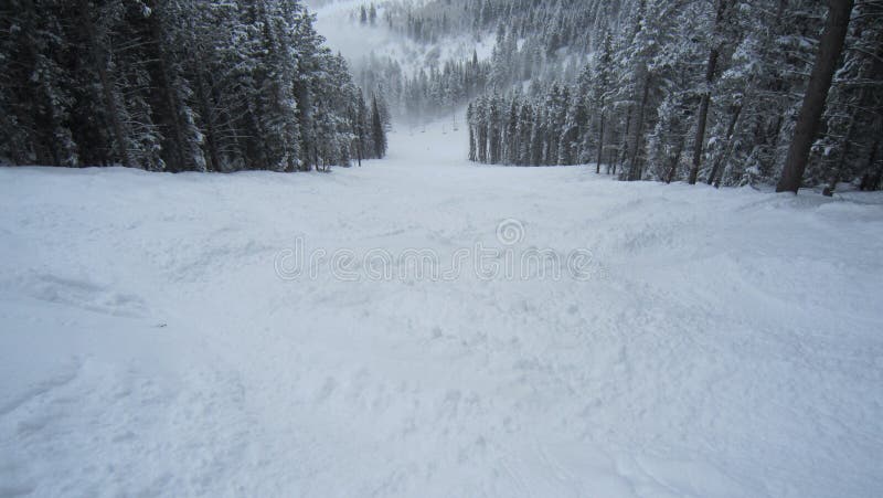 Powder Day in Utah stock photo. Image of city, park, looking - 43343306