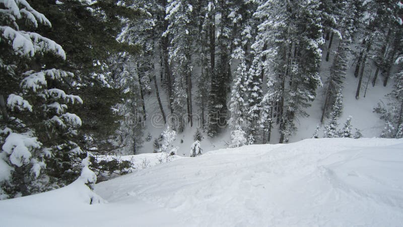 Powder Day in Utah stock photo. Image of city, park, looking - 43343306
