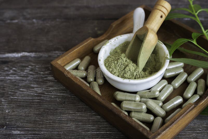 Powder Extracted Andrographis Paniculata Stock Photo - Image of corona ...