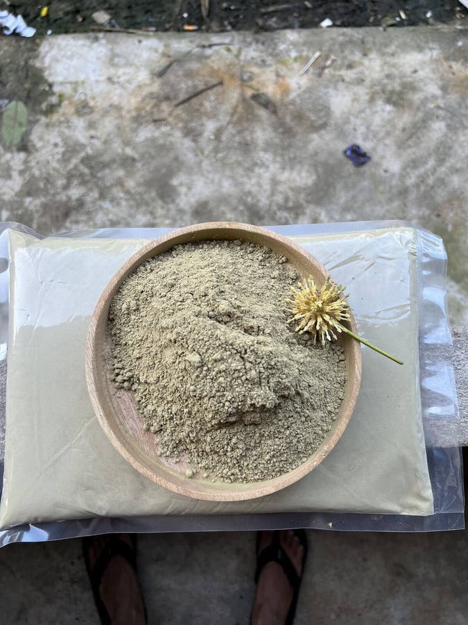 Powder Kratom Super White Nature Botanical Stock Photo - Image of super ...