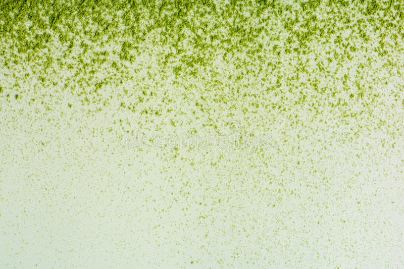 Powder of Matcha Splash Isolate on Pastel Green Background, High ...