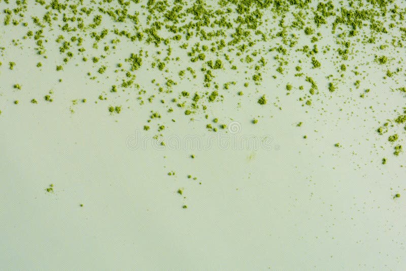Powder of Matcha Splash Isolate on Pastel Green Background, High ...