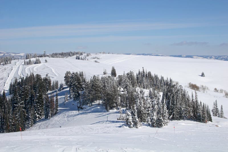 Powder Day in Utah stock photo. Image of city, park, looking - 43343306