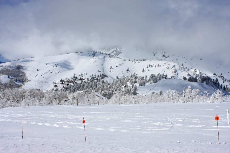 Powder Day in Utah stock photo. Image of city, park, looking - 43343306