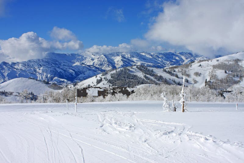 Powder Day in Utah stock photo. Image of city, park, looking - 43343306