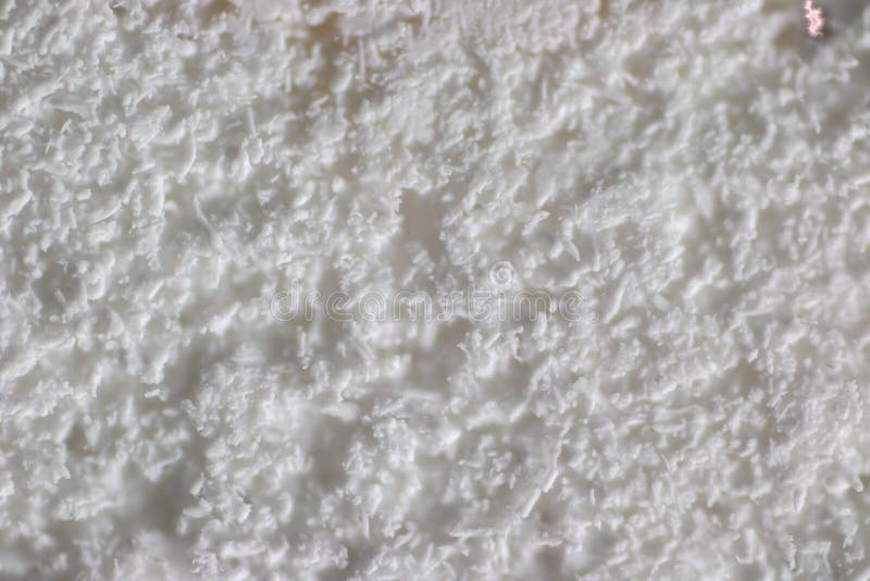 Powder Polymer for Education in Lab. Stock Image - Image of ball ...