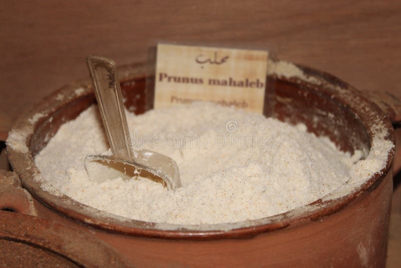 Prunus Mahaleb Powder stock photo. Image of mahleb, flavour - 256591064