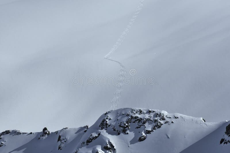 Powder snow skiing stock photo. Image of glacier, movement - 13386618