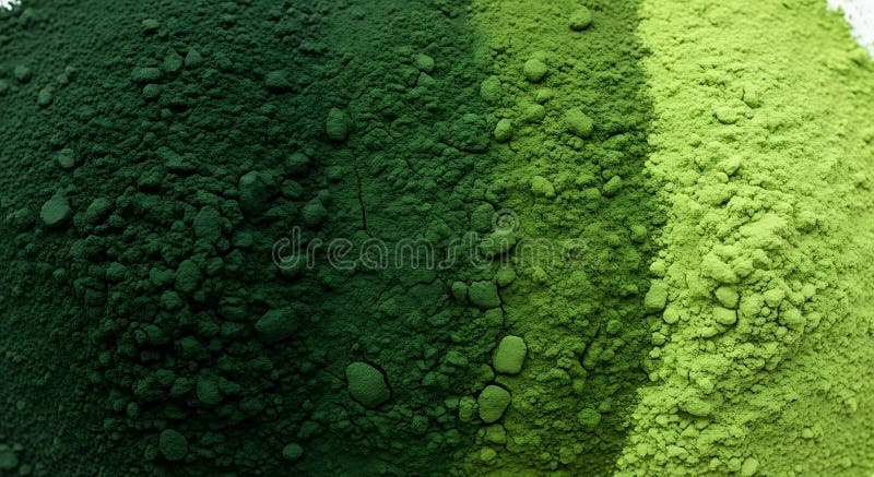 Powdered Pigments in Varying Shades of Green are Spread in a Gradient ...