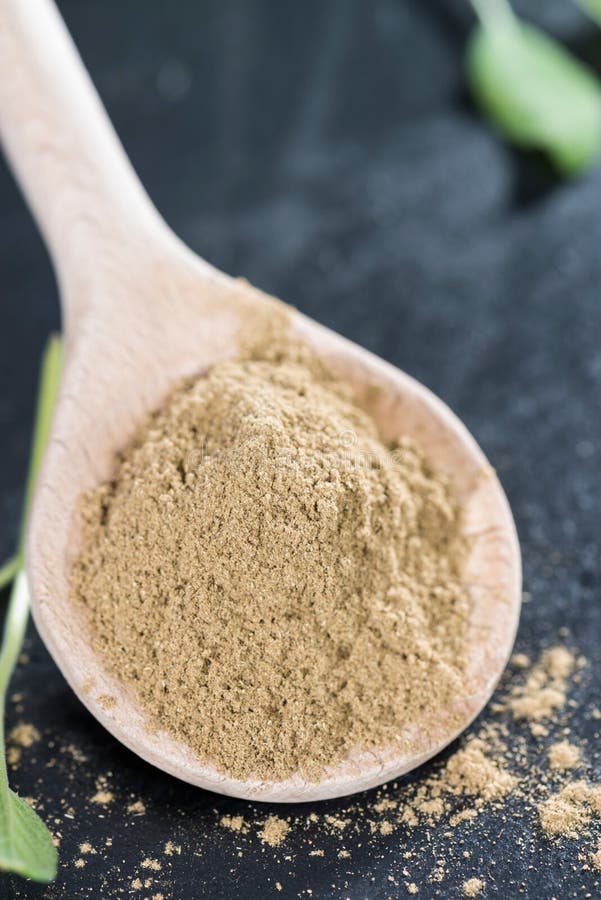 Powdered Sage stock image. Image of green, macro, food - 41595403