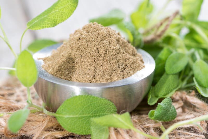 Powdered Sage stock image. Image of closeup, officinalis - 40124033