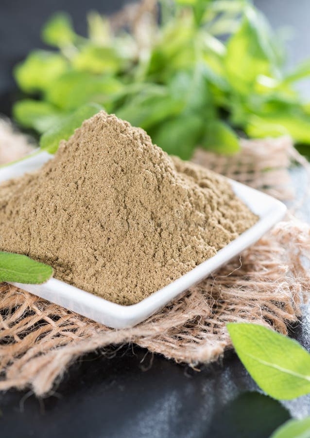 Powdered Sage stock image. Image of green, macro, food - 41595403