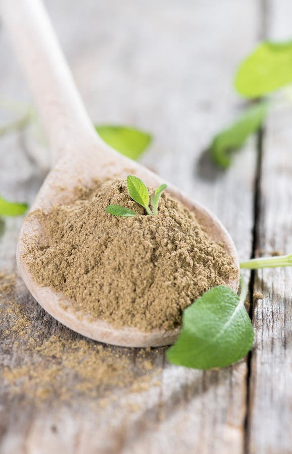 Powdered Sage stock image. Image of closeup, houseplant - 37941213