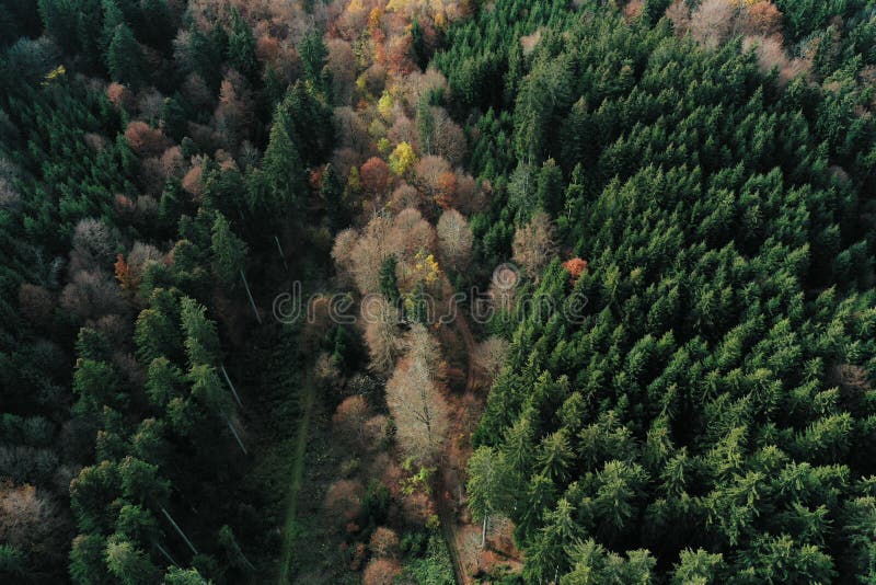 Power of the Autumn Colors stock photo. Image of environment - 239475436
