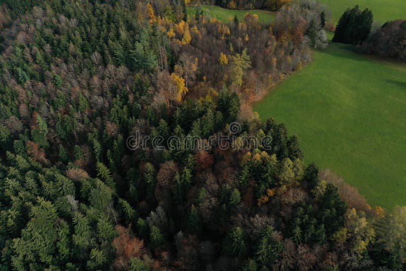 Power of the Autumn Colors stock photo. Image of orange - 239475784