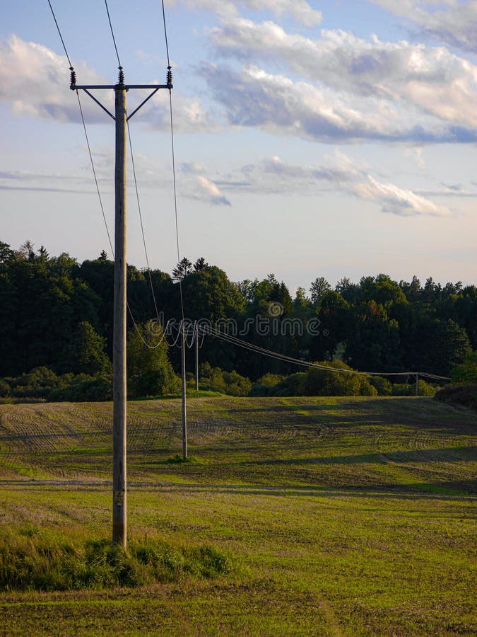 Power Cables Across the Field in the Evening Stock Image - Image of ...