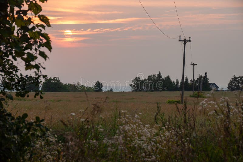 Power Cables Over a Field at Sunset Stock Photo - Image of black ...