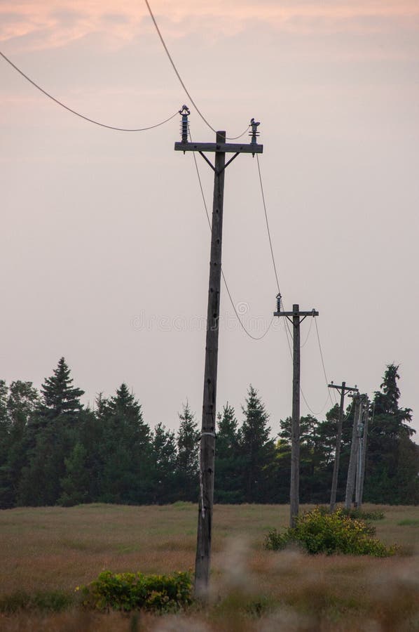 Power Cables Over a Field at Sunset Stock Photo - Image of scenics ...