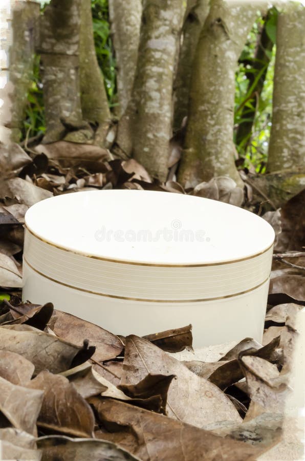 Power Dish in the Trash stock photo. Image of outdoor - 287197730