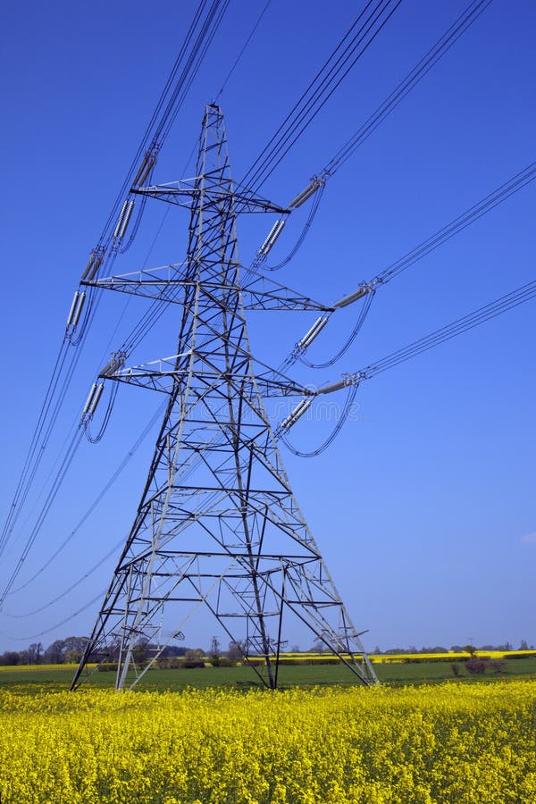 Power Distribution Lines - England Stock Image - Image of network ...