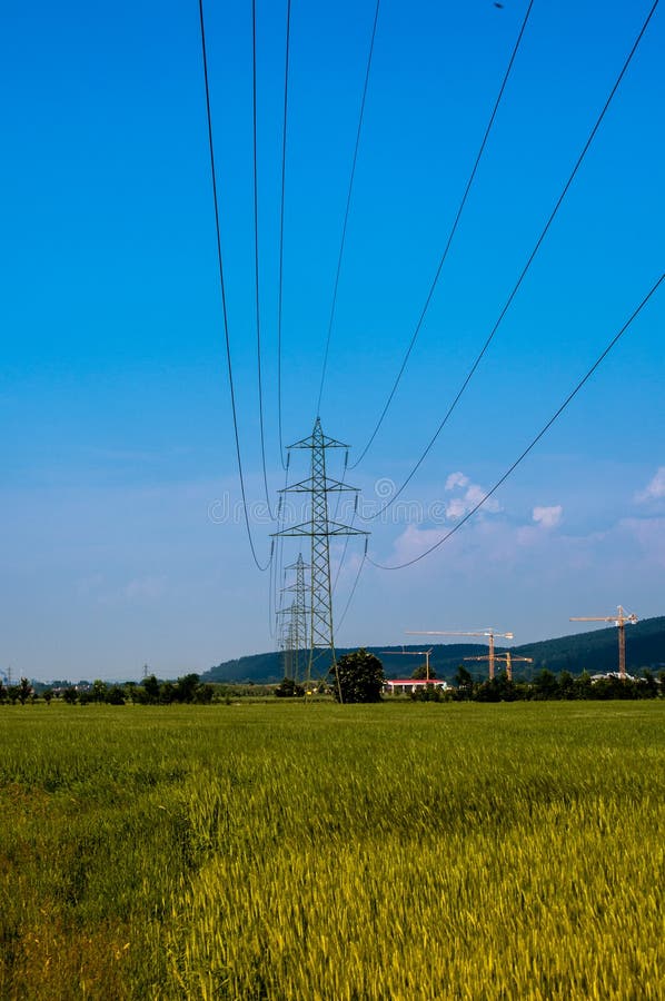 Power Electricity Cable Over a Field Stock Photo - Image of industrial ...