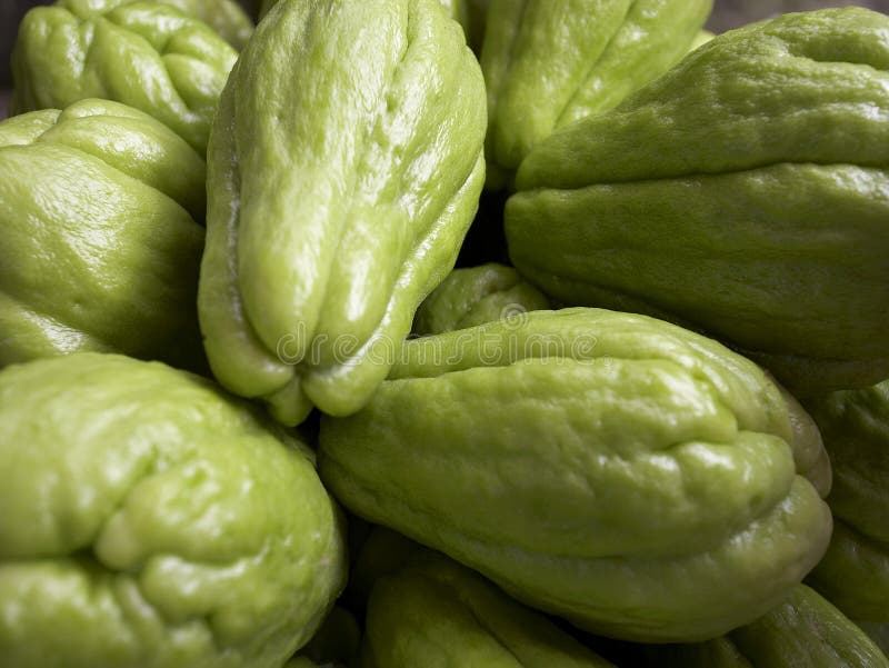 Power Food stock image. Image of objects, green, group - 91763551