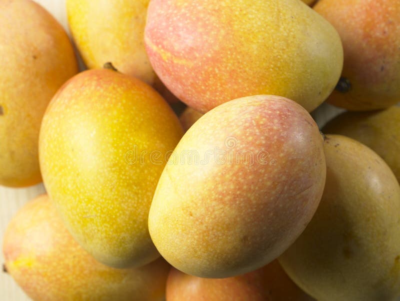 Power Food stock photo. Image of foodlarge, closeup, people - 91763918