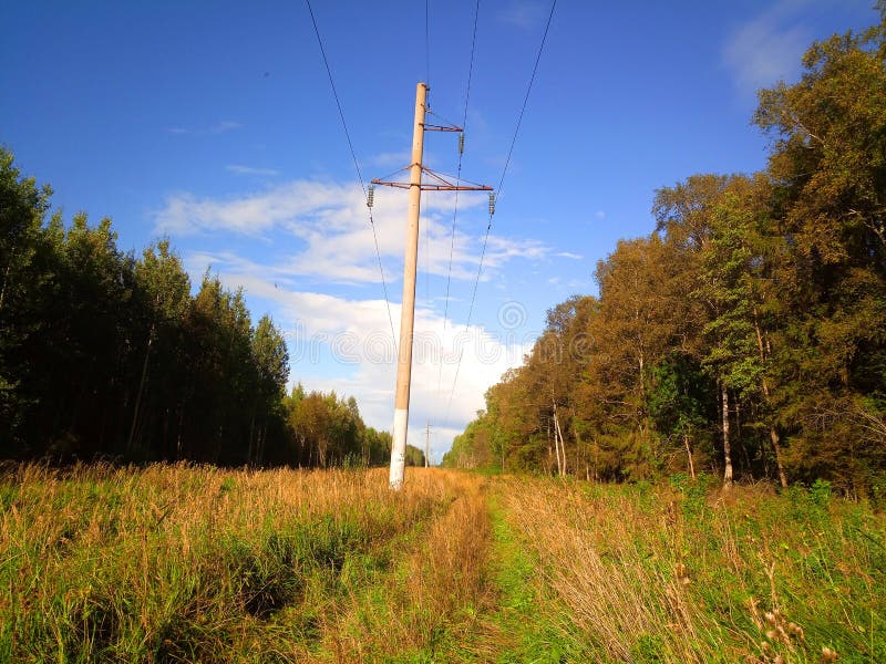 Power Grids Standing between Two Woodlands Stock Photo - Image of ...