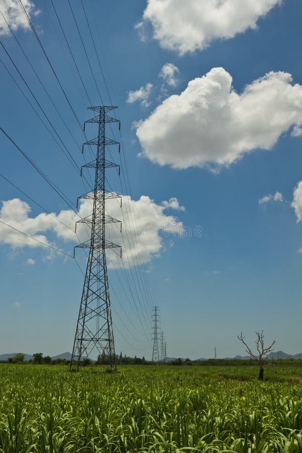 Power line stock image. Image of line, electricity, pylon - 24850937