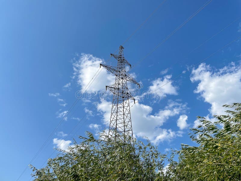 Power Line Against the Blue Sky and Branches of Green Trees ...