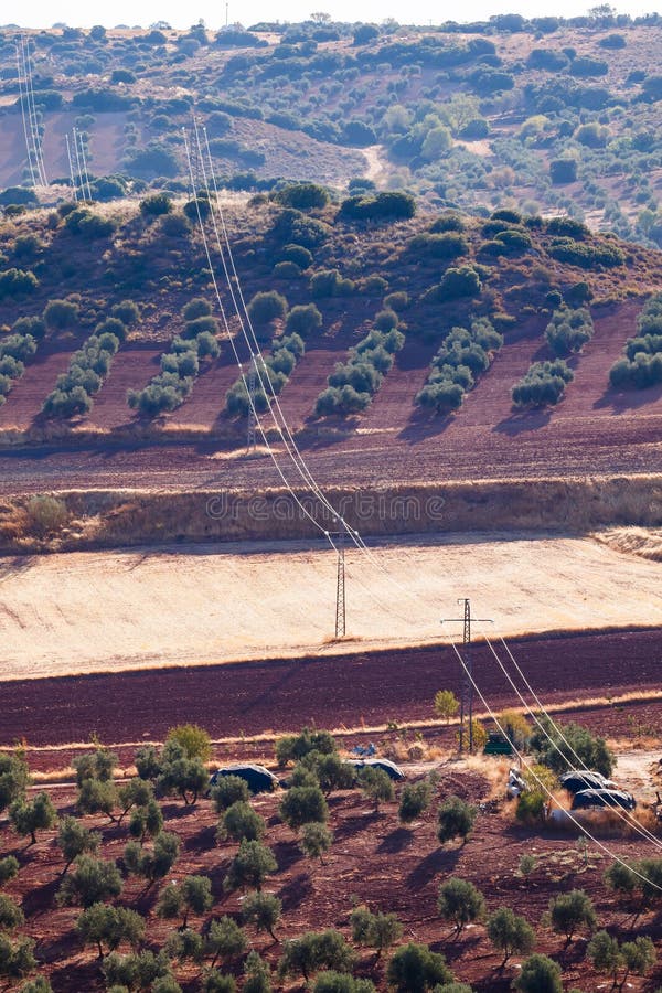 Power Line Crossing the Fields in Alhambra Stock Photo - Image of ...