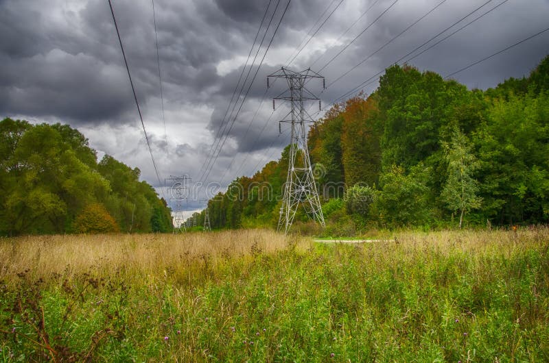 Power line in the forest stock photo. Image of light - 59263342