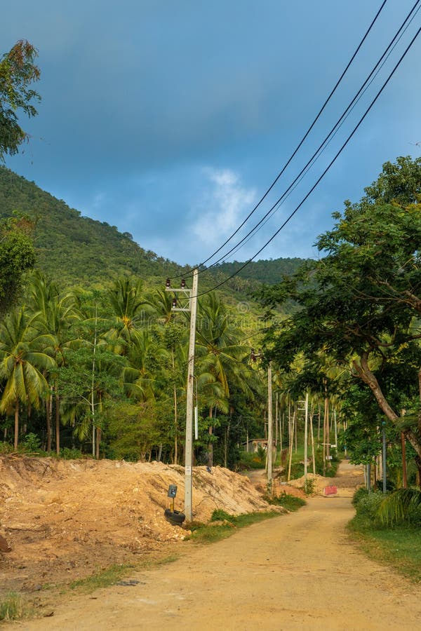 Power Line in the Jungle. Civilization Comes To the Wild Tropical ...