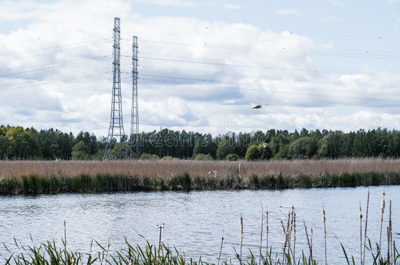 Power line near the lake stock image. Image of natural - 149898537