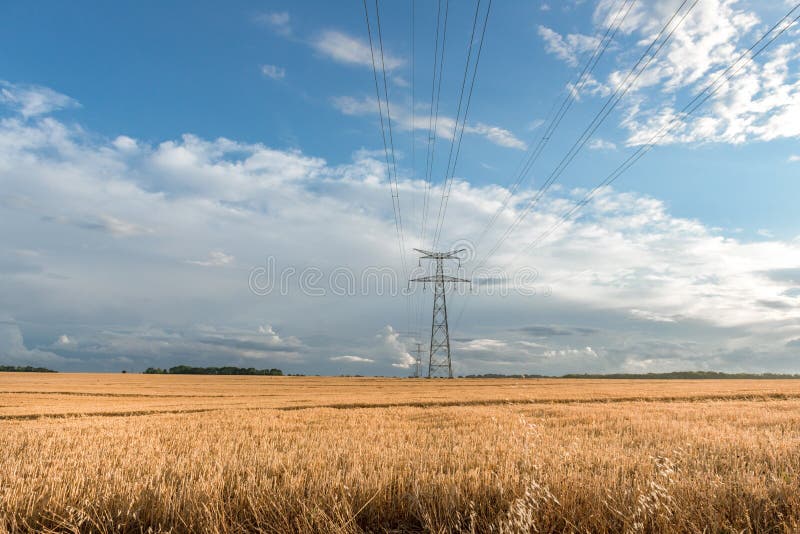 Power line over fields stock image. Image of crop, outdoor - 67092045