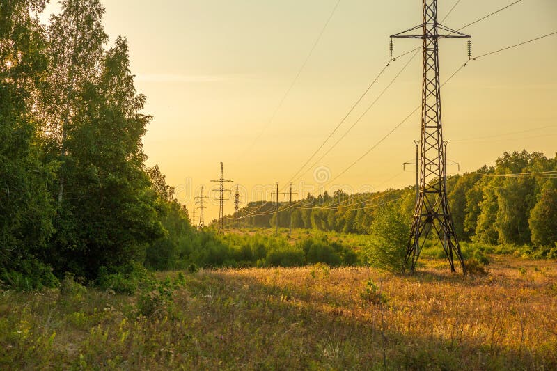 Power Line Passes through a Clearing in the Forest Stock Image - Image ...